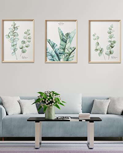 HesenDot Framed Wall Art，Botanical Prints for Bedroom, Minimalist 3 Piece Wood Art Wall Decor Aesthetic, 16x12in High Frame Design Prints Flower Green Eucalyptus Leaf Artworks, MDF Framed Poster for Kitchen, Bathroom, Bedroom Set of 3