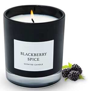 Candles for Home Scented, 8.8oz BlackBerry Spice Aromatherapy Candles Scented with Long Lasting Burning, Highly Home Scented Candles for Stress Relief Relaxation, Jar Candle Gifts for Women Men