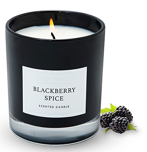 Candles for Home Scented, 8.8oz BlackBerry Spice Aromatherapy Candles Scented with Long Lasting Burning, Highly Home Scented Candles for Stress Relief Relaxation, Jar Candle Gifts for Women Men