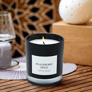 Candles for Home Scented, 8.8oz BlackBerry Spice Aromatherapy Candles Scented with Long Lasting Burning, Highly Home Scented Candles for Stress Relief Relaxation, Jar Candle Gifts for Women Men