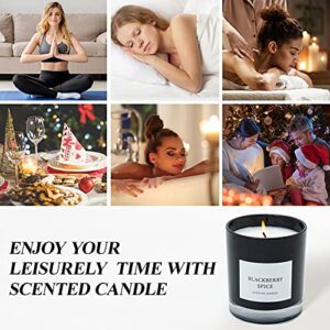 Candles for Home Scented, 8.8oz BlackBerry Spice Aromatherapy Candles Scented with Long Lasting Burning, Highly Home Scented Candles for Stress Relief Relaxation, Jar Candle Gifts for Women Men