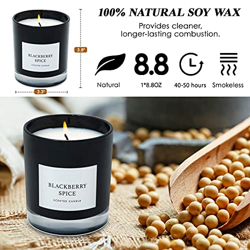 Candles for Home Scented, 8.8oz BlackBerry Spice Aromatherapy Candles Scented with Long Lasting Burning, Highly Home Scented Candles for Stress Relief Relaxation, Jar Candle Gifts for Women Men