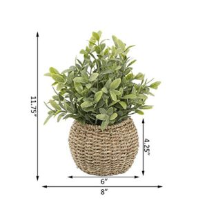 Flora Bunda Artificial Tealeaf in 6" Basket Pot