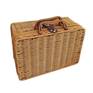 atroy wicker rattan storage box, medium vintage rattan metal lock retro suitcase with handle, retro suitcase for storage, trip and picnic