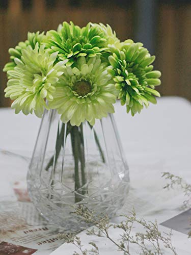 TOPIA Artificial African Daisies Flowers African Daisy Silk Flowers Artificial Gerbera Daisies Pack of 10 (Green)