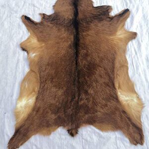 red deer hide rug deer skin rug deer taxidermy fireplace deerskin decor reindeer hide area rug animals mat carpet for home, office, bedroom taxidermy hunting collectable 3.2×2.1ft