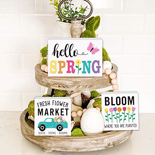 Huray Rayho Party Hello Spring Tiered Tray Decorations Farmhouse Mini Wood Decor Easter Table Centerpieces Fresh Flower Market Home 3D Signs Seasonal Bloom Butterfly Kitchen Wooden Ornaments Set of 3