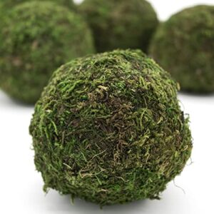 Usmola Moss Balls, Decorative Balls for Centerpiece Bowls Vase Filler, Home Party Decor (3.5 inches - Set of 6-), Large