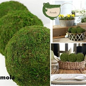 Usmola Moss Balls, Decorative Balls for Centerpiece Bowls Vase Filler, Home Party Decor (3.5 inches - Set of 6-), Large