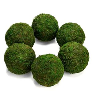 farmoo moss balls preserved all natural, 3.5″-set of 6 (natural green)