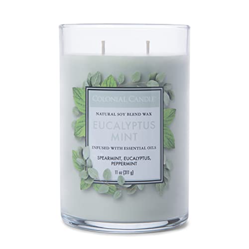 Colonial Candle Eucalyptus Mint Scented Jar Candle, Classic Cylinders Collection, 2 Wick, Green, 11 oz - Up to 80 Hours Burn