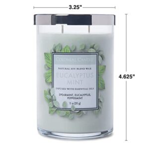 Colonial Candle Eucalyptus Mint Scented Jar Candle, Classic Cylinders Collection, 2 Wick, Green, 11 oz - Up to 80 Hours Burn