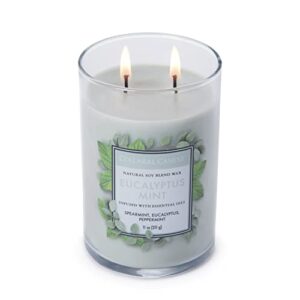 Colonial Candle Eucalyptus Mint Scented Jar Candle, Classic Cylinders Collection, 2 Wick, Green, 11 oz - Up to 80 Hours Burn