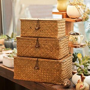 WINOMO 3 Pcs Woven Storage Chests with Lid & Button Hand- woven Rattan Desktop Storage Box Storage Basket