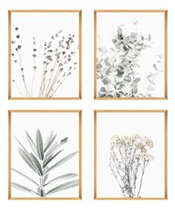 herzii botanical plant wall art prints- sets of 4 (8×10 ) unframed wall decor- pictures minimalist wall art photo – nordic style eucalyptus and lavander leaf prints-modern art boho print decor – farmhouse, kitchen, bedroom wall decor