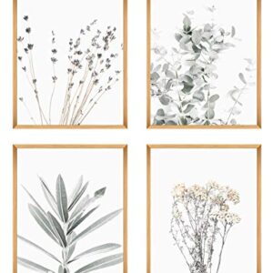 Herzii Botanical Plant Wall Art Prints- Sets Of 4 (8x10 ) Unframed Wall Decor- Pictures Minimalist Wall Art Photo - Nordic Style Eucalyptus And Lavander Leaf Prints-Modern Art Boho Print Decor - Farmhouse, Kitchen, Bedroom Wall Decor