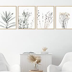 Herzii Botanical Plant Wall Art Prints- Sets Of 4 (8x10 ) Unframed Wall Decor- Pictures Minimalist Wall Art Photo - Nordic Style Eucalyptus And Lavander Leaf Prints-Modern Art Boho Print Decor - Farmhouse, Kitchen, Bedroom Wall Decor