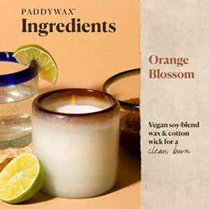 Paddywax Candles La Playa Collection Scented Candle, 9-Ounce, Orange Blossom