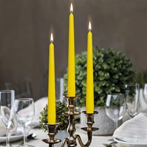 BOLSIUS Yellow Taper Candles - 12 Pack Individually Wrapped Unscented 10 Inch Dinner Candle Set - 8 Burn Hours - Premium European Quality - Smokeless & Dripless Household Wedding & Party Candlesticks