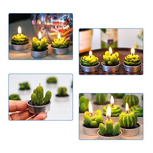 Cactus Tealight Candles(18 Pcs Gift Boxed), Artificial Succulents Decorative Tea Light Candles ,Perfect for Birthday Wedding Party Home Decor