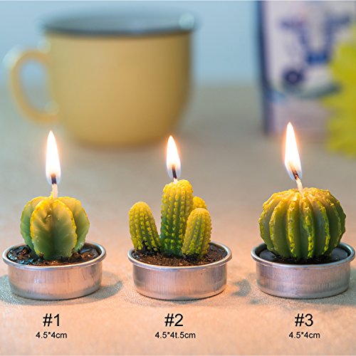 Cactus Tealight Candles(18 Pcs Gift Boxed), Artificial Succulents Decorative Tea Light Candles ,Perfect for Birthday Wedding Party Home Decor