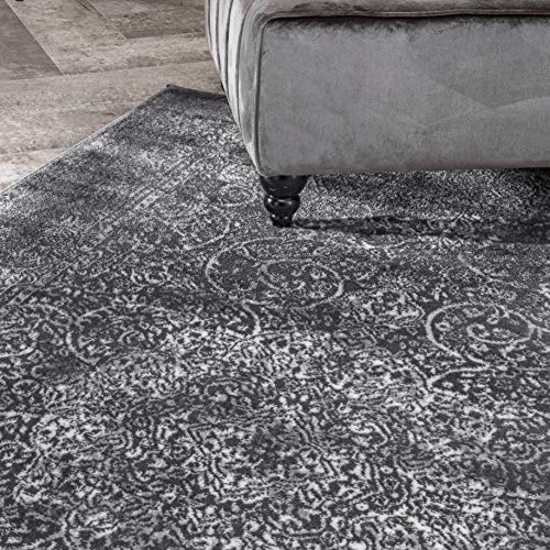 nuLOOM Delores Persian Area Rug, 4' x 6', Dark Grey