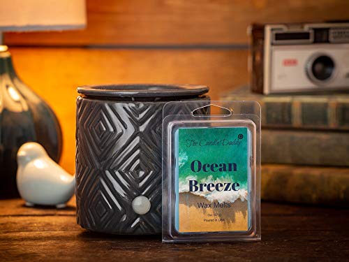 The Candle Daddy Ocean Breeze - 2 oz Wax Melt- 6 Cubes- Refreshing Beach Scent, Gift for Women, Men, BFF, Friend, Wife, Mom, Birthday, Sister, Daughter, Sea Aroma