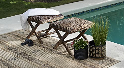 Momeni Hampton Transitional Indoor/Outdoor Area Rug, Natural, 4'1" X 6'