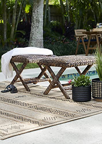 Momeni Hampton Transitional Indoor/Outdoor Area Rug, Natural, 4'1" X 6'