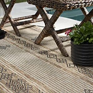 Momeni Hampton Transitional Indoor/Outdoor Area Rug, Natural, 4'1" X 6'