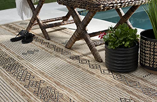 Momeni Hampton Transitional Indoor/Outdoor Area Rug, Natural, 4'1" X 6'