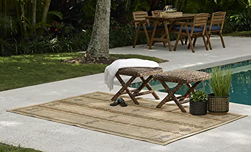 Momeni Hampton Transitional Indoor/Outdoor Area Rug, Natural, 4'1" X 6'