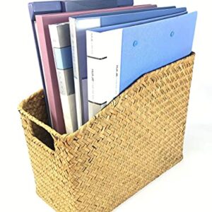 MISNINE Multifunction Basket Magzine Book Holder Basket,Handwoven Seagrass Rustic Home Décor (Small)