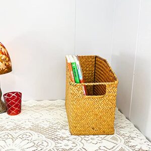 MISNINE Multifunction Basket Magzine Book Holder Basket,Handwoven Seagrass Rustic Home Décor (Small)