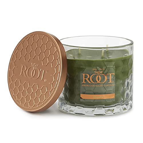 Root Candles Scented Candles Honeycomb Glass Premium Handcrafted Beeswax Blend 3-Wick Candle, 12-Ounce, Hosta