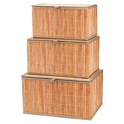 SOUJOY Set of 3 Bamboo Decorative Storage Basket with Lids, Rectangle Storage Bins, Handwoven Wicker Lidded Basket with Cloth Liner for Desk Bedroom Shelf Organizer