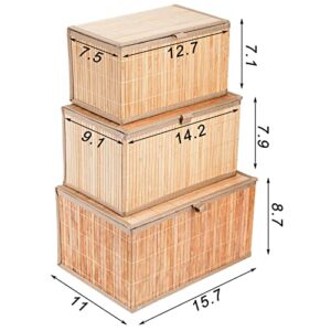 SOUJOY Set of 3 Bamboo Decorative Storage Basket with Lids, Rectangle Storage Bins, Handwoven Wicker Lidded Basket with Cloth Liner for Desk Bedroom Shelf Organizer