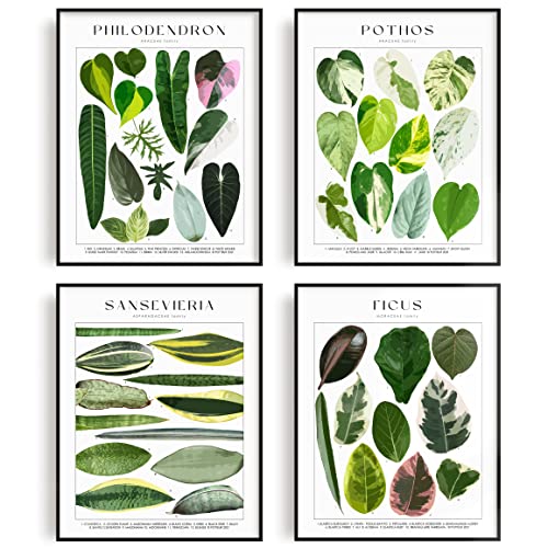 Buy 3 Get 1 Offer - Set of 4 UNFRAMED Plant Poster - Botanical Wall Art - Plant Stuff - Green Wall Art - Plant Wall Art - Plant Art Wall Prints - Plant Prints - Plant Pictures Wall Art - 8x10" (FOLIA)