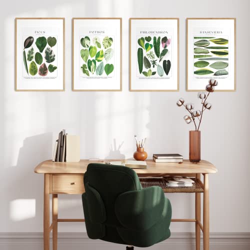 Buy 3 Get 1 Offer - Set of 4 UNFRAMED Plant Poster - Botanical Wall Art - Plant Stuff - Green Wall Art - Plant Wall Art - Plant Art Wall Prints - Plant Prints - Plant Pictures Wall Art - 8x10" (FOLIA)