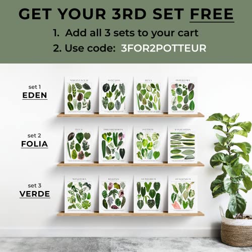 Buy 3 Get 1 Offer - Set of 4 UNFRAMED Plant Poster - Botanical Wall Art - Plant Stuff - Green Wall Art - Plant Wall Art - Plant Art Wall Prints - Plant Prints - Plant Pictures Wall Art - 8x10" (FOLIA)