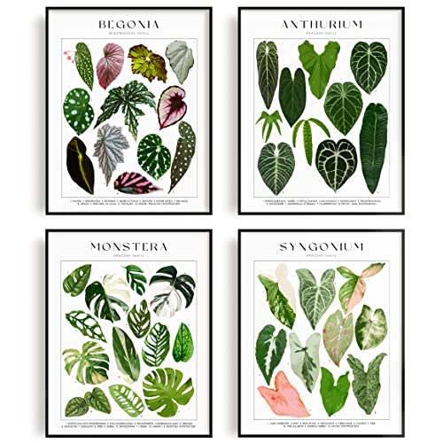 Buy 3 Get 1 Offer - Set of 4 UNFRAMED Plant Poster - Botanical Wall Art - Plant Stuff - Green Wall Art - Plant Wall Art - Plant Art Wall Prints - Plant Prints - Plant Pictures Wall Art 8x10" (VERDE)