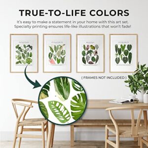 Buy 3 Get 1 Offer - Set of 4 UNFRAMED Plant Poster - Botanical Wall Art - Plant Stuff - Green Wall Art - Plant Wall Art - Plant Art Wall Prints - Plant Prints - Plant Pictures Wall Art 8x10" (VERDE)