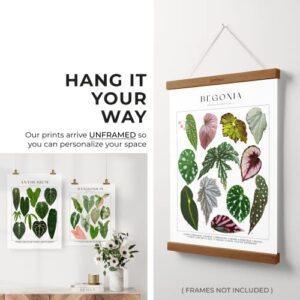 Buy 3 Get 1 Offer - Set of 4 UNFRAMED Plant Poster - Botanical Wall Art - Plant Stuff - Green Wall Art - Plant Wall Art - Plant Art Wall Prints - Plant Prints - Plant Pictures Wall Art 8x10" (VERDE)