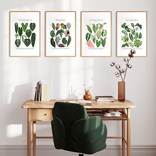 Buy 3 Get 1 Offer - Set of 4 UNFRAMED Plant Poster - Botanical Wall Art - Plant Stuff - Green Wall Art - Plant Wall Art - Plant Art Wall Prints - Plant Prints - Plant Pictures Wall Art 8x10" (VERDE)