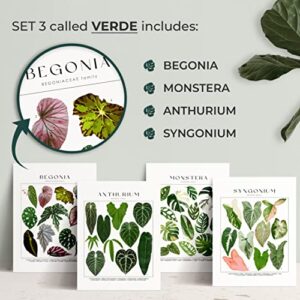 Buy 3 Get 1 Offer - Set of 4 UNFRAMED Plant Poster - Botanical Wall Art - Plant Stuff - Green Wall Art - Plant Wall Art - Plant Art Wall Prints - Plant Prints - Plant Pictures Wall Art 8x10" (VERDE)