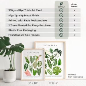 Buy 3 Get 1 Offer - Set of 4 UNFRAMED Plant Poster - Botanical Wall Art - Plant Stuff - Green Wall Art - Plant Wall Art - Plant Art Wall Prints - Plant Prints - Plant Pictures Wall Art 8x10" (VERDE)