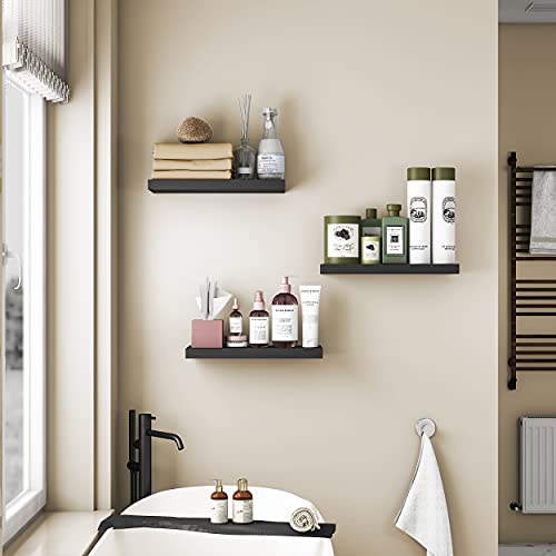 GREENDEW Floating Shelves Invisible Wall Mounted Set of 2, Retro Hanging Wall Decor Shelf 16 x 9 for Living Room, Bedroom, Bathroom, Kitchen (Black)