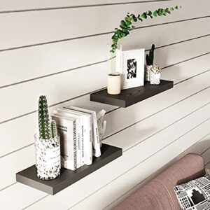 GREENDEW Floating Shelves Invisible Wall Mounted Set of 2, Retro Hanging Wall Decor Shelf 16 x 9 for Living Room, Bedroom, Bathroom, Kitchen (Black)