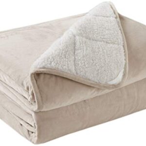 Degrees of Comfort Weighted Blanket 12 Pounds for Adult, Soft Plush to Sherpa Heavy Blankets, 48x72 Twin Size, 12lbs, Sand Beige