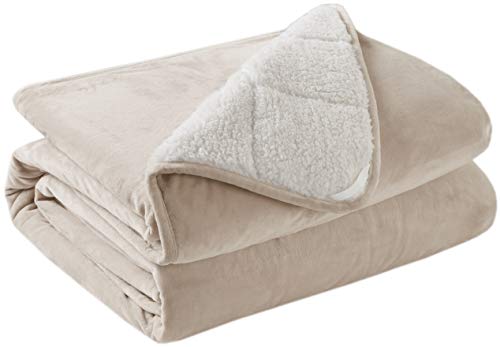 Degrees of Comfort Weighted Blanket 12 Pounds for Adult, Soft Plush to Sherpa Heavy Blankets, 48x72 Twin Size, 12lbs, Sand Beige